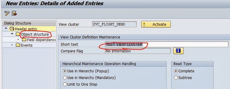 View Cluster – SAPCODES