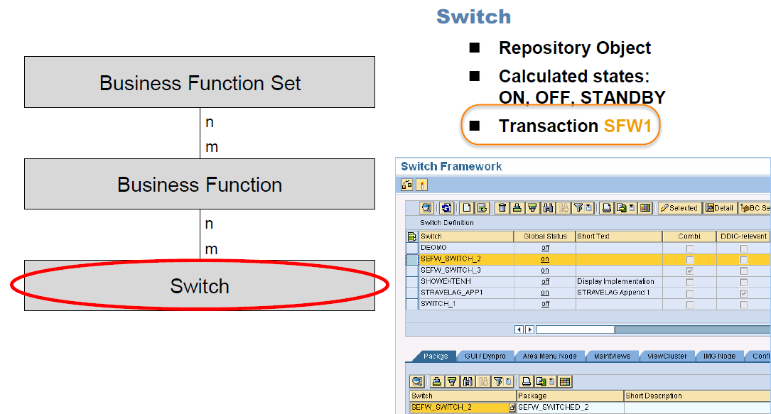 Switch Frame Work – SAPCODES