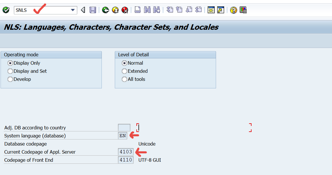 Code page used SAP System & Language Specific Code Page – SAPCODES