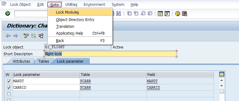 Lock Objects – SAPCODES