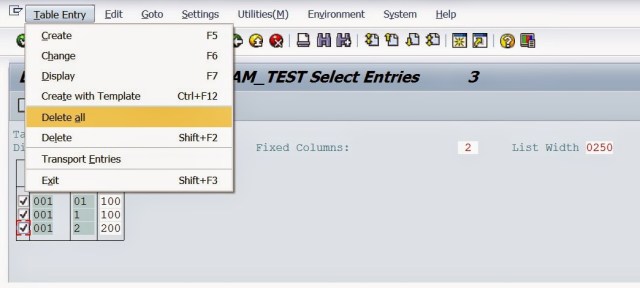 Conversion Routines – SAPCODES