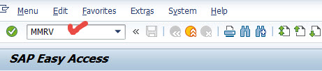 Transaction Code to display current open posting period & allow posting ...