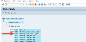 Organizational Structure – SAP SD – SAPCODES