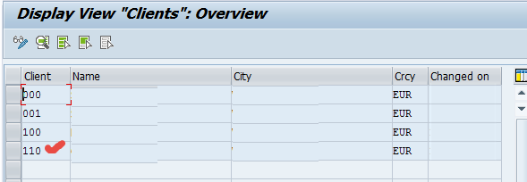 How to check a client role( Demo Client/Test Client/Customizing Client ...