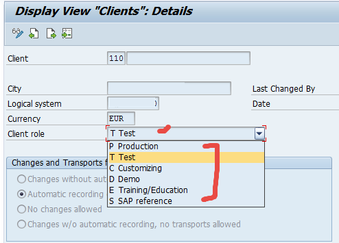 How to check a client role( Demo Client/Test Client/Customizing Client ...