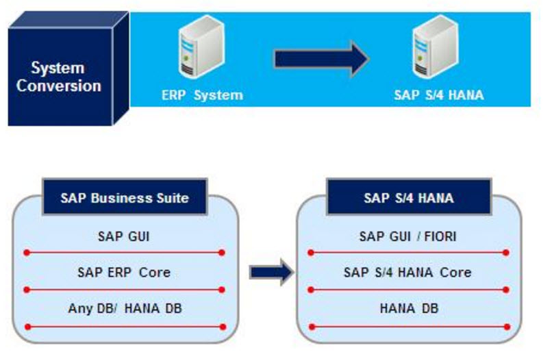 System Transition – SAPCODES