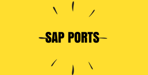 PORT Numbers in SAP System – SAPCODES