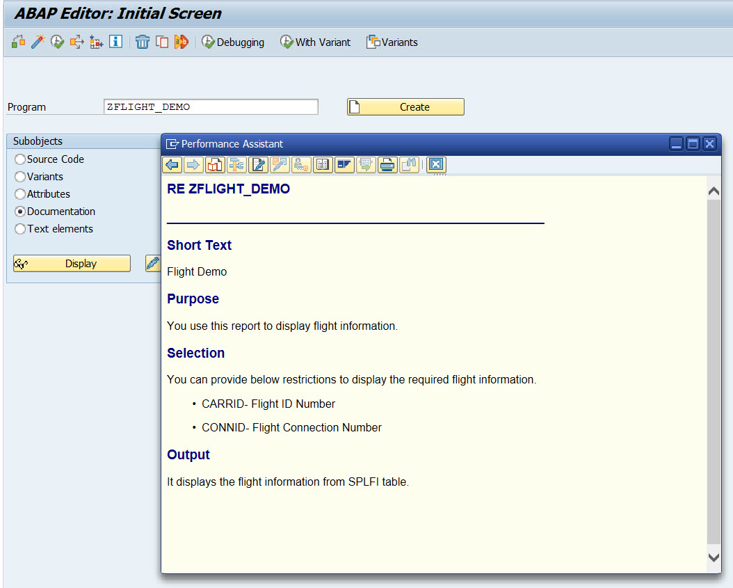 Report Documentation – SAPCODES