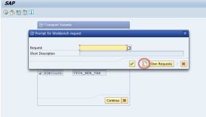Report Variant Transport – SAPCODES