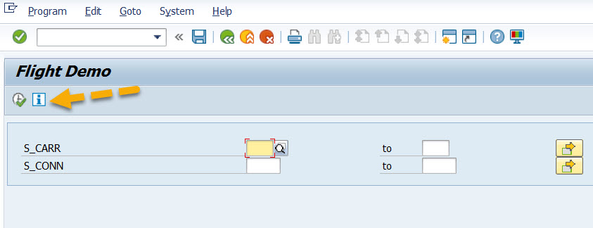 Report Documentation – SAPCODES
