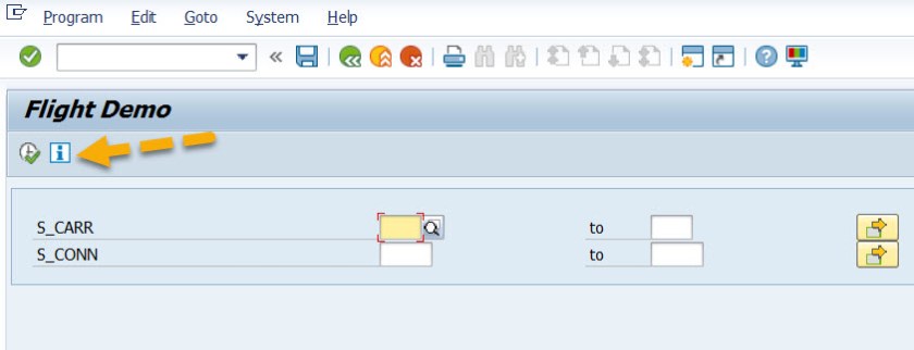 Report Documentation – SAPCODES