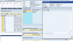 Access Control(DCL) in CDS View – SAPCODES