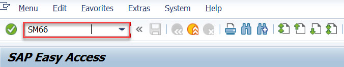 All Instance work process in SAP System – SAPCODES