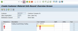 Customer-Material Info in SAP SD – SAPCODES