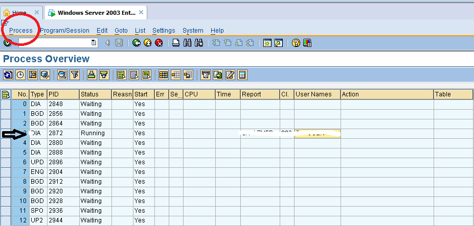 How to kill the workprocess from SAP level – SAPCODES