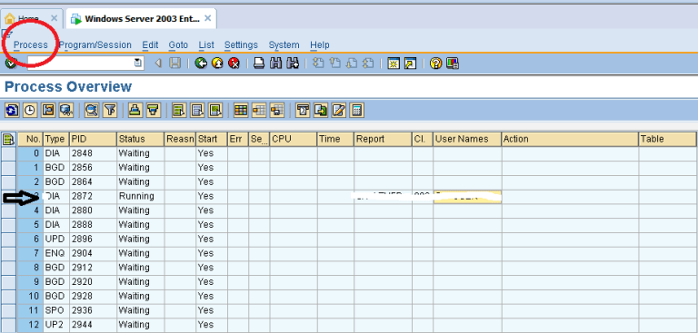 How to kill the workprocess from SAP level – SAPCODES