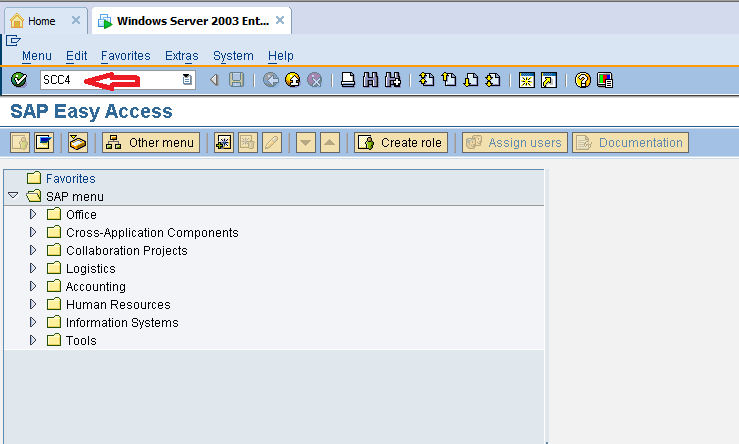 How to create a client – SAPCODES