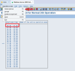 Operation mode – SAPCODES