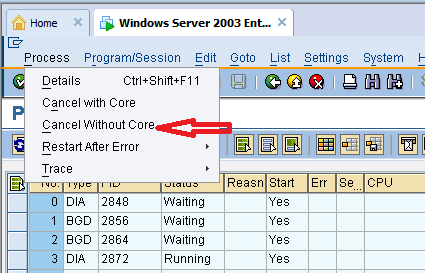 How to kill the workprocess from SAP level – SAPCODES