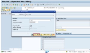 Business Configuration Set- BC Set – SAPCODES