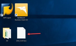 Business Configuration Set- BC Set – SAPCODES