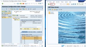Business Configuration Set- BC Set – SAPCODES