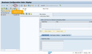 Business Configuration Set- BC Set – SAPCODES