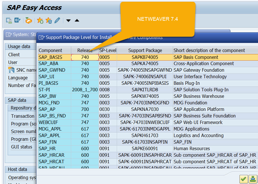 SAP Netweaver & SAP Business Suite – SAPCODES
