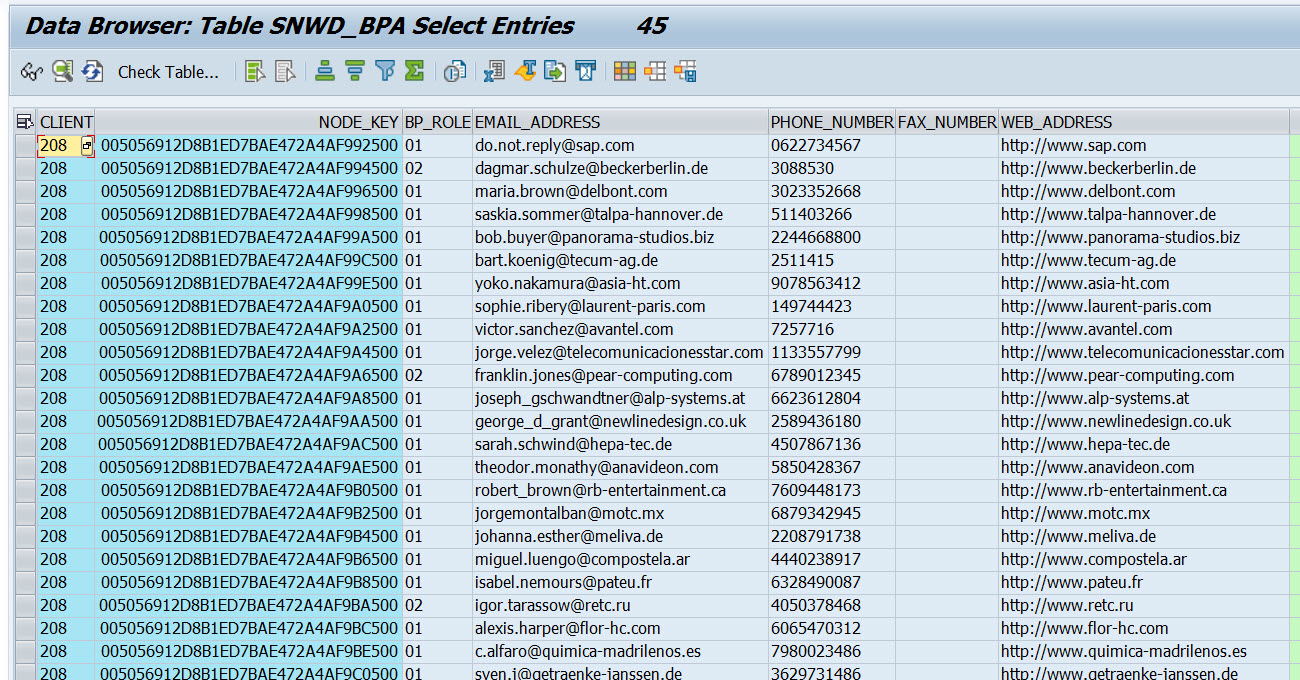 EPM Model Data Generation – SAPCODES