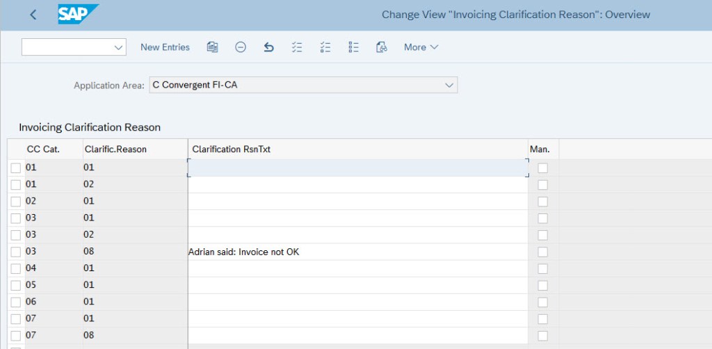 CI – Clarification Case – SAPCODES