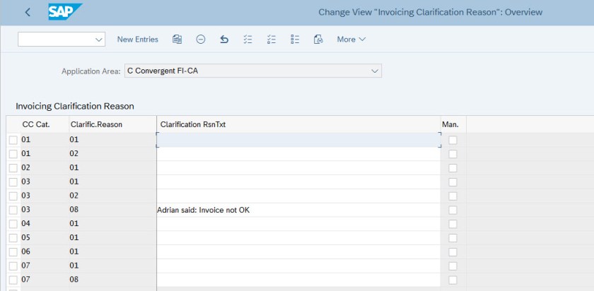 CI – Clarification Case – SAPCODES